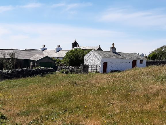 Cregneash and The Sound – 1st June 2020 – Walking with Gill