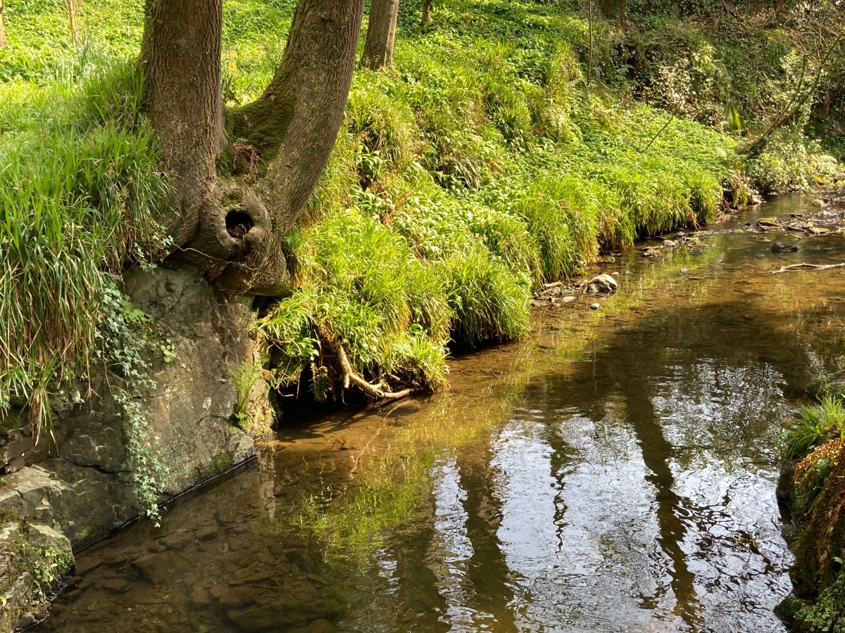 Colby, Cronk-e-dhooney, Colby Glen – 3 miles max – Walking with Gill