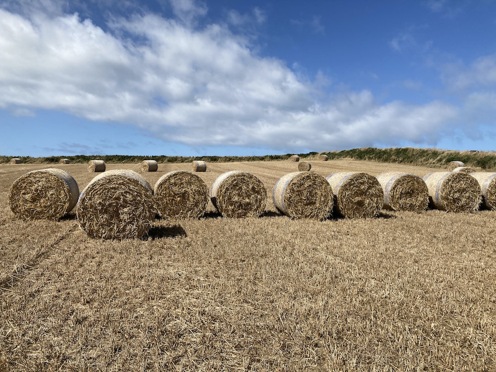 Around Staarvey and along the Switchback Road, 13th Aug 2021 – Walking ...