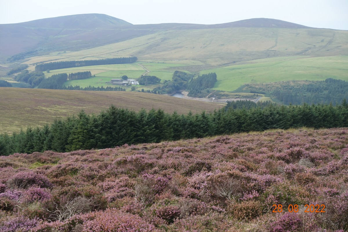 Triskelion Way Part 2 – Walking with Gill