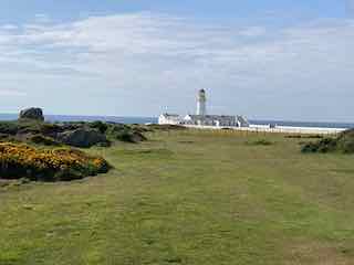 Langness – Walking with Gill