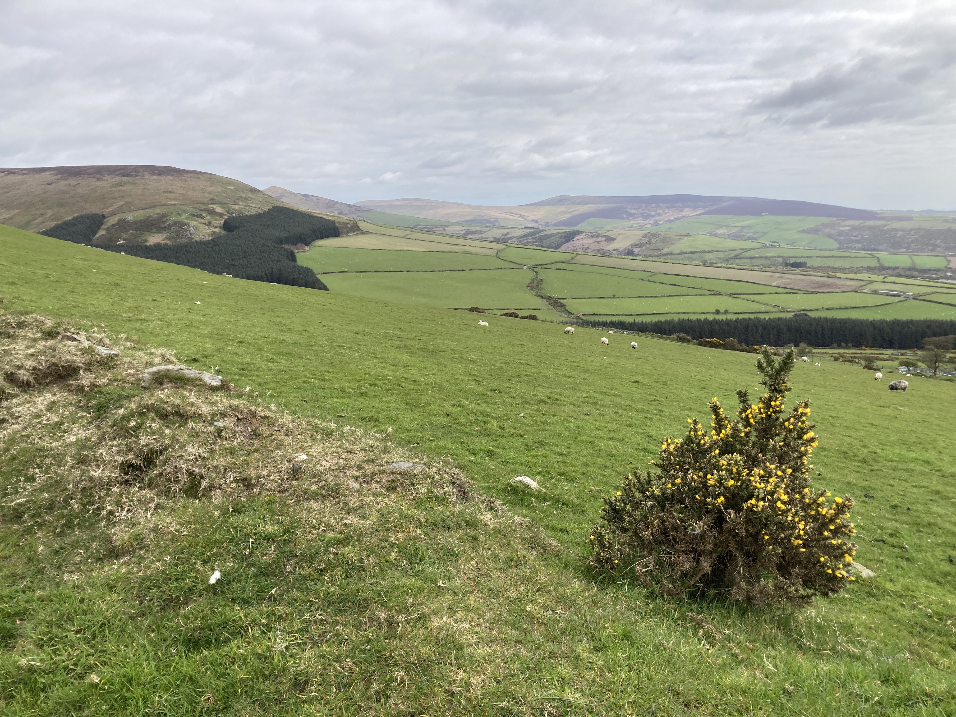 Medium Walks – Walking with Gill