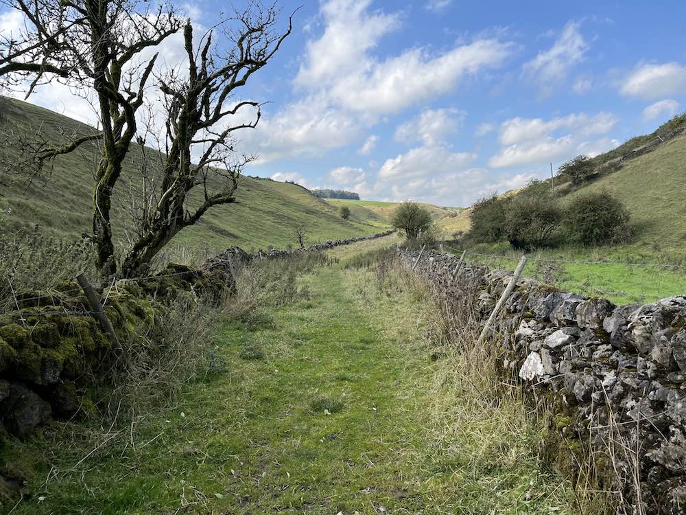 Elton, Gratton Dale and Long Dale – Walking with Gill